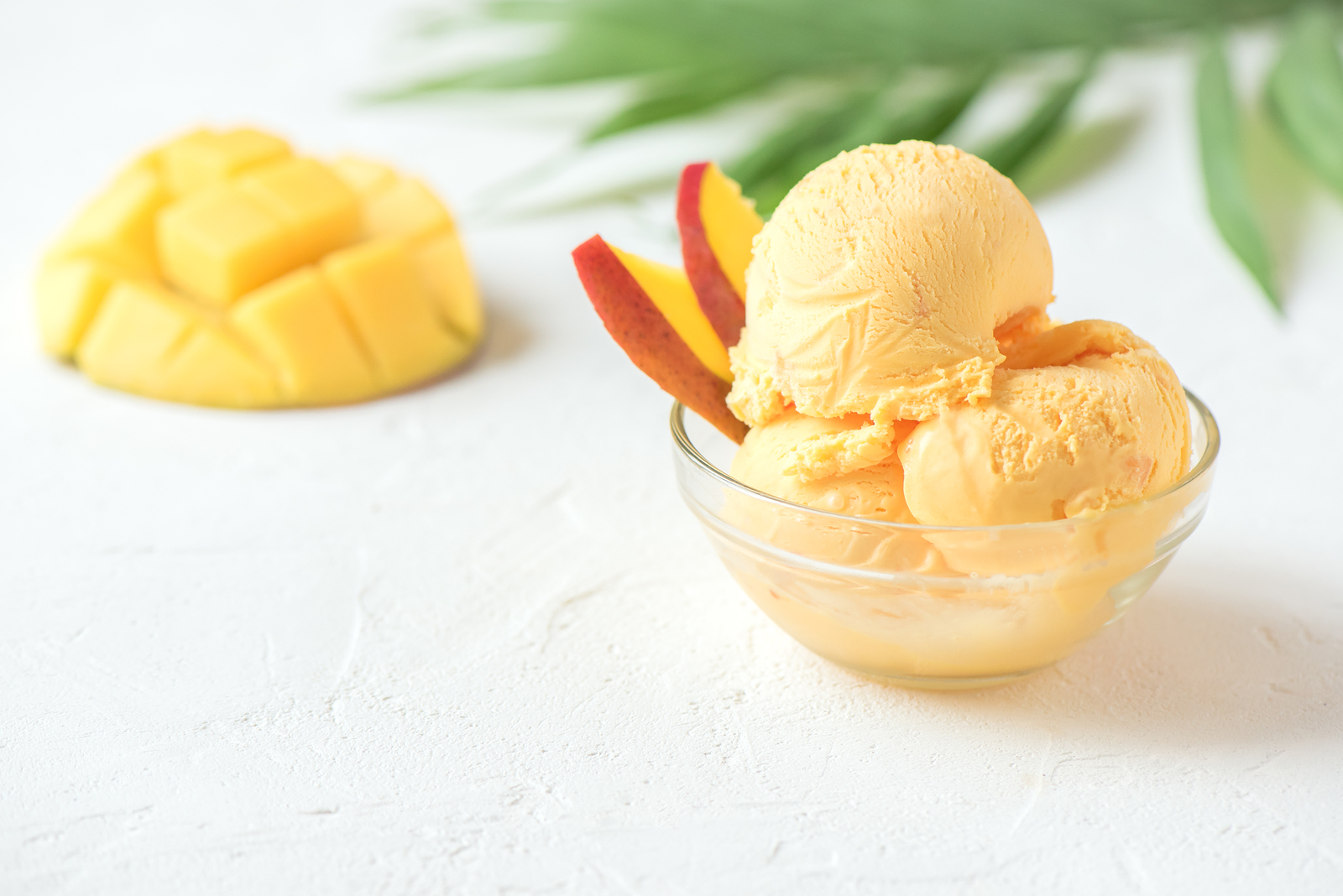 Taste The Tropics USA – Freshly Made Tropical Ice Cream & Novelties in ...
